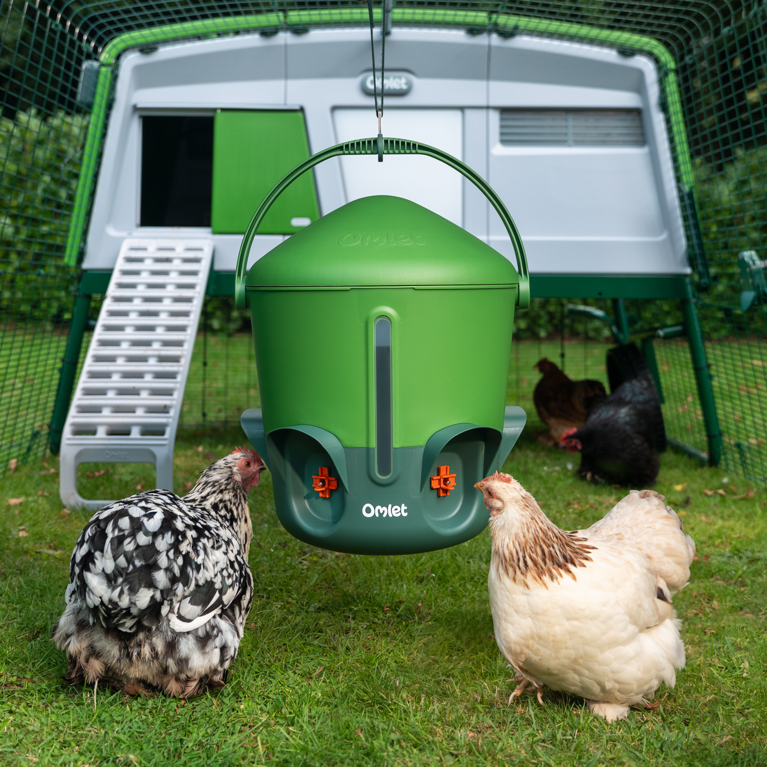 Insulated Stay Clean Chicken Waterer | Omlet | Omlet