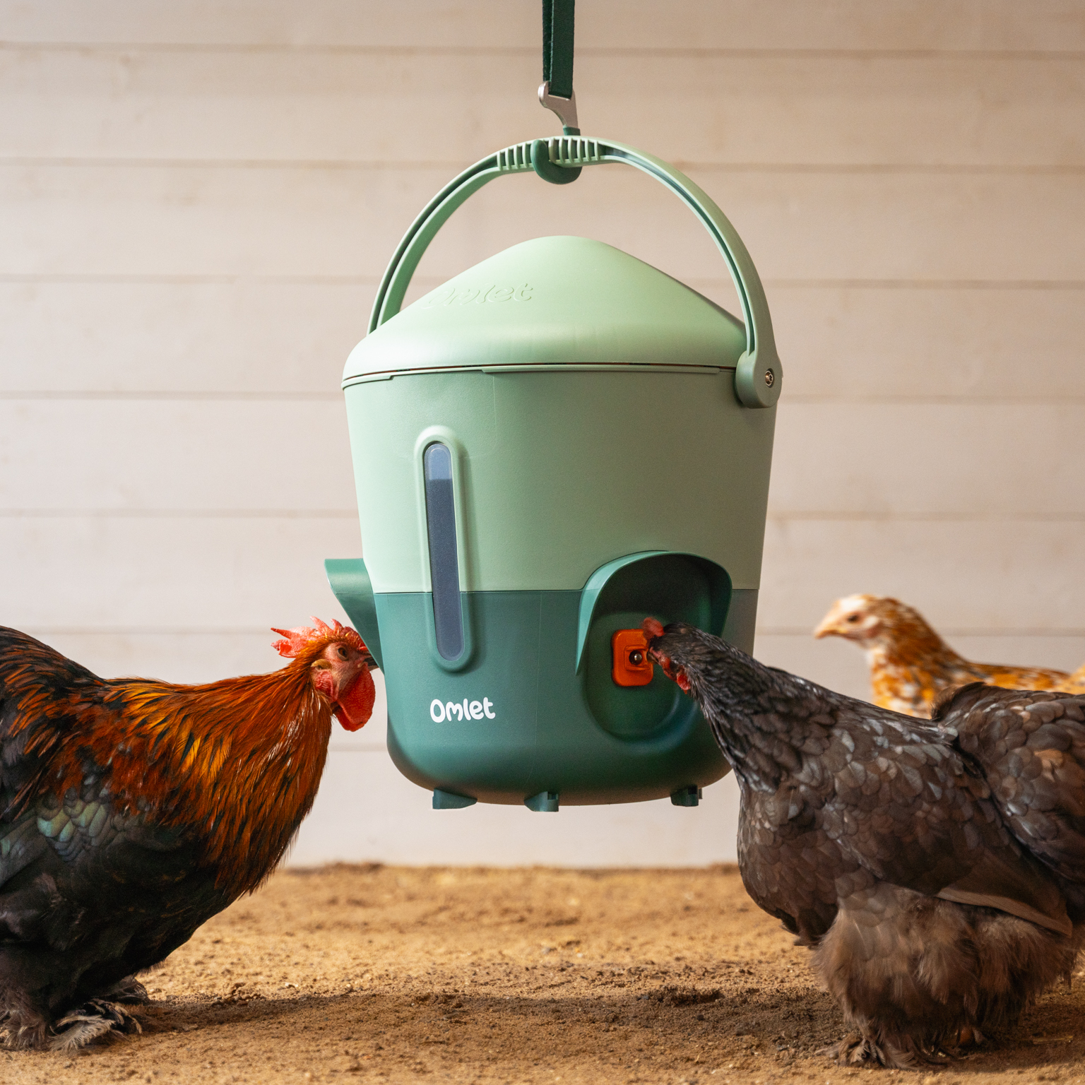 Insulated Stay Clean Chicken Waterer | Omlet | Omlet