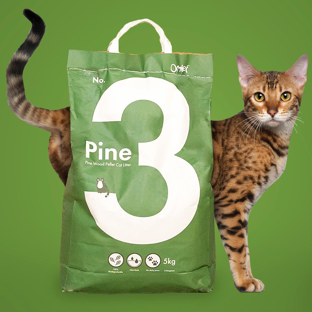 Omlet Cat Litter No. 3 - Pine - 11 lbs | Omlet