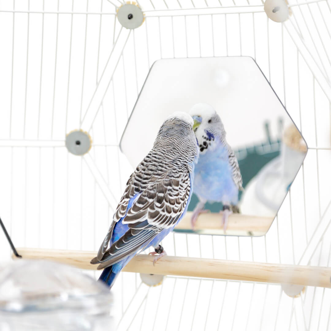 Geo Bird Bath & Mirror - Hexagon | Omlet