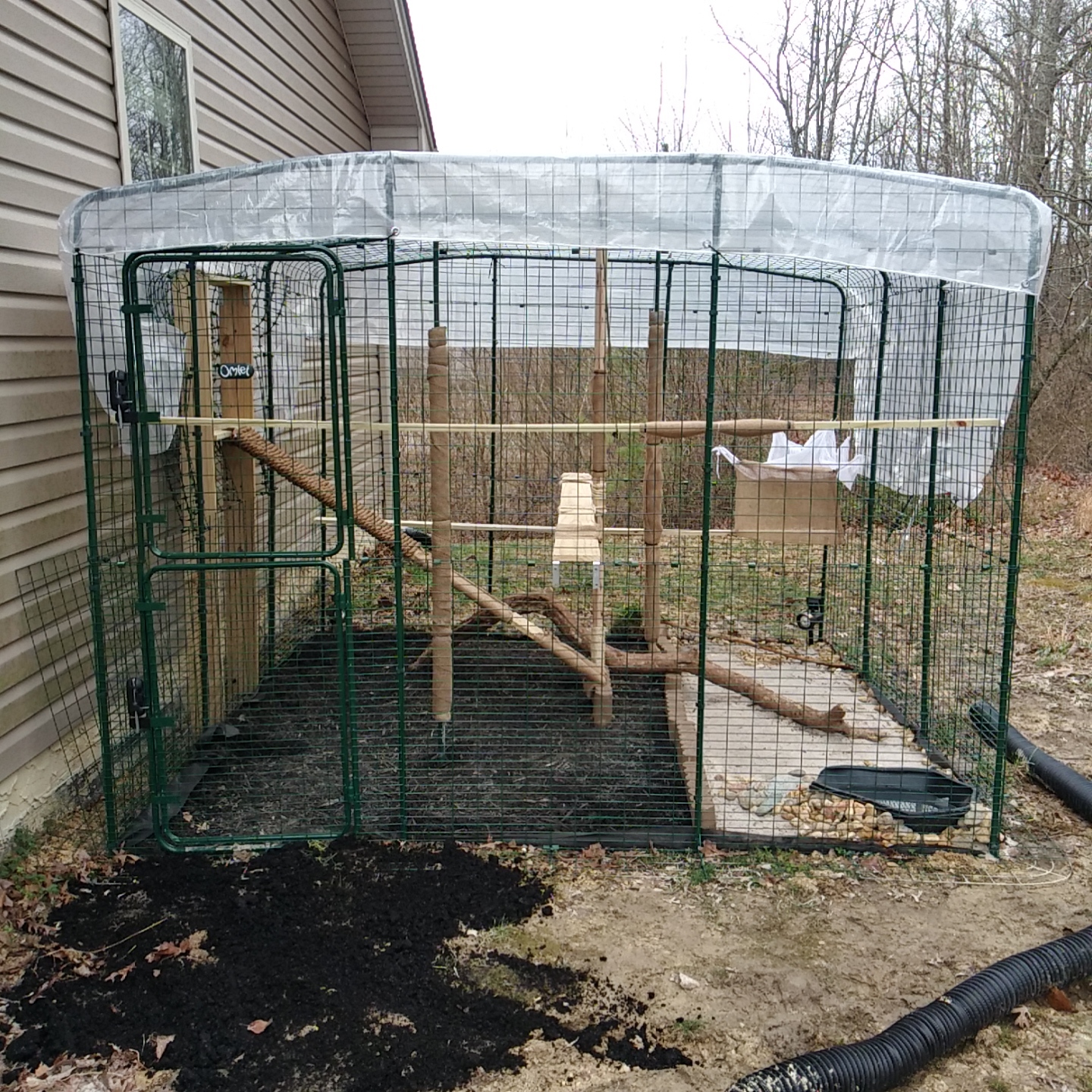 Gallery | Club | Omlet