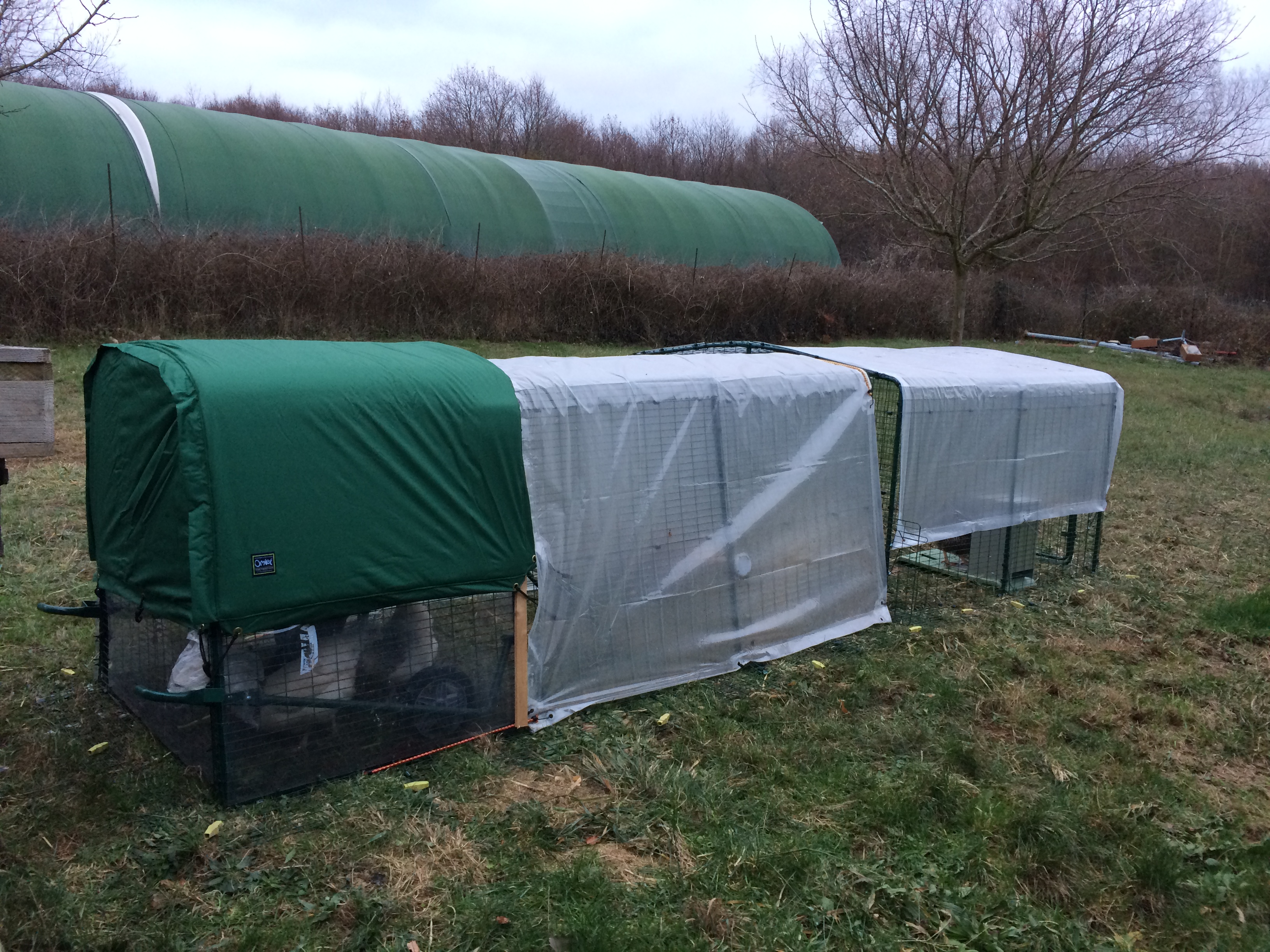 Outdoor Rabbit Run Extensions | Rabbit Hutches, Rabbit Runs and Rabbit ...