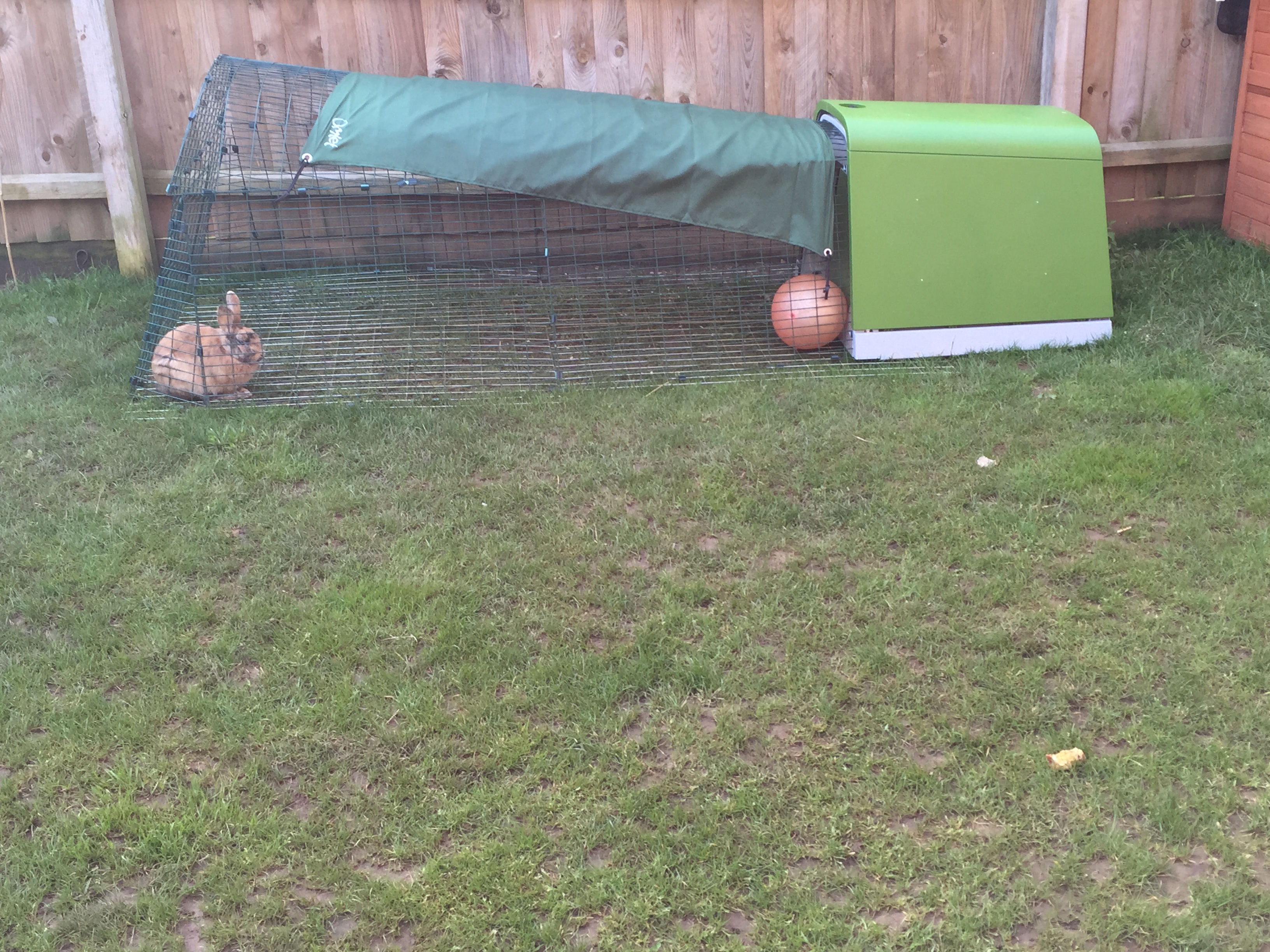 Eglu Go Rabbit Hutch | Plastic House and Run for Rabbits