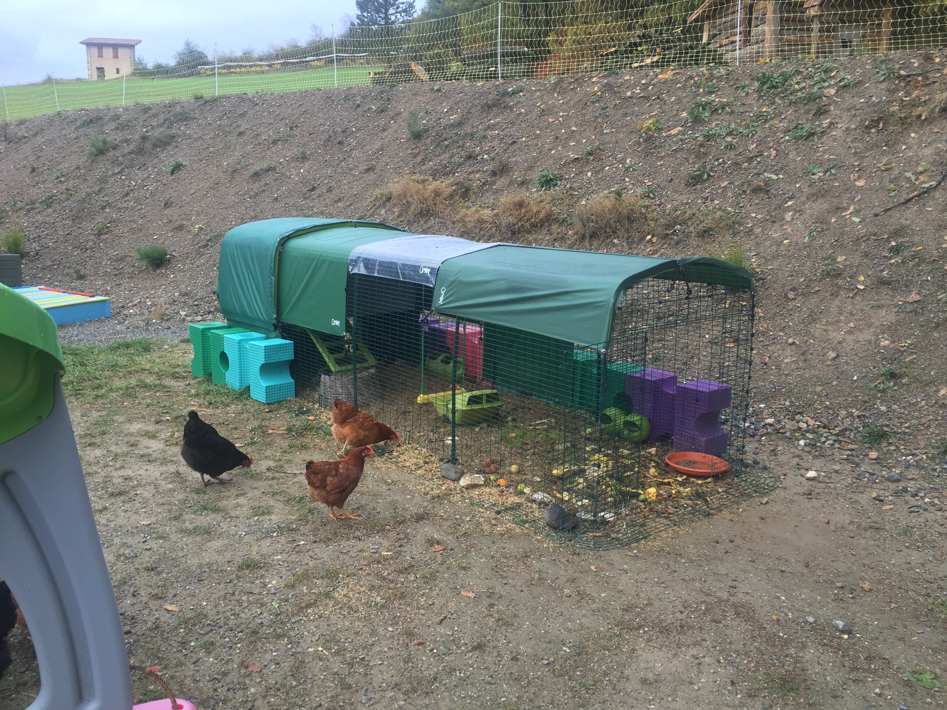 Gallery | Club | Omlet