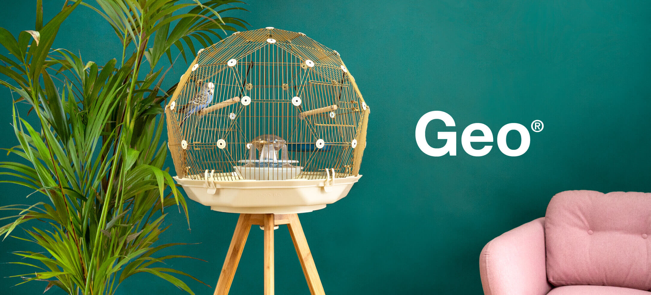 Cool Bird Cages Fly Away: Decorating With Bird Cages