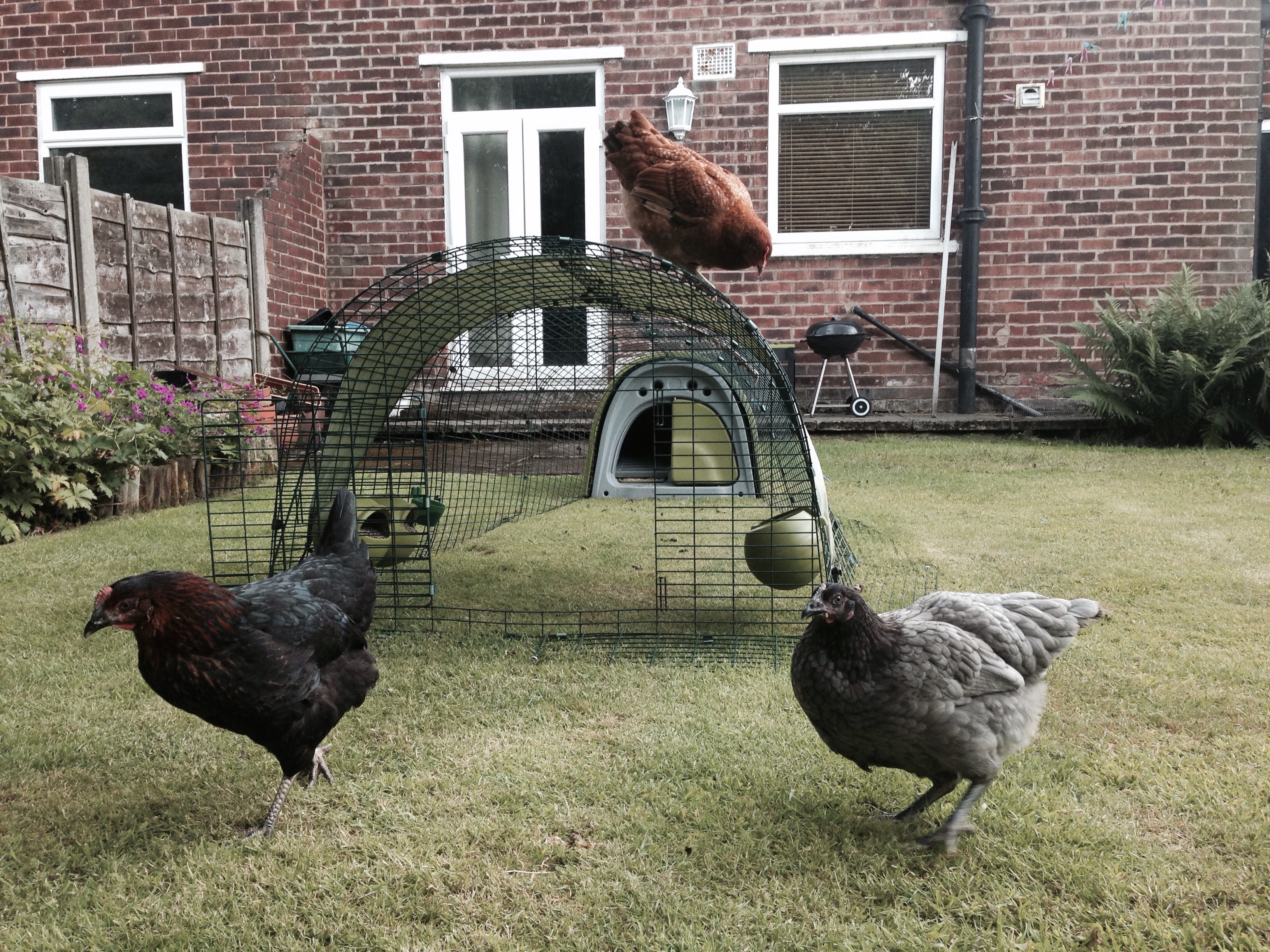 Gallery | Club | Omlet