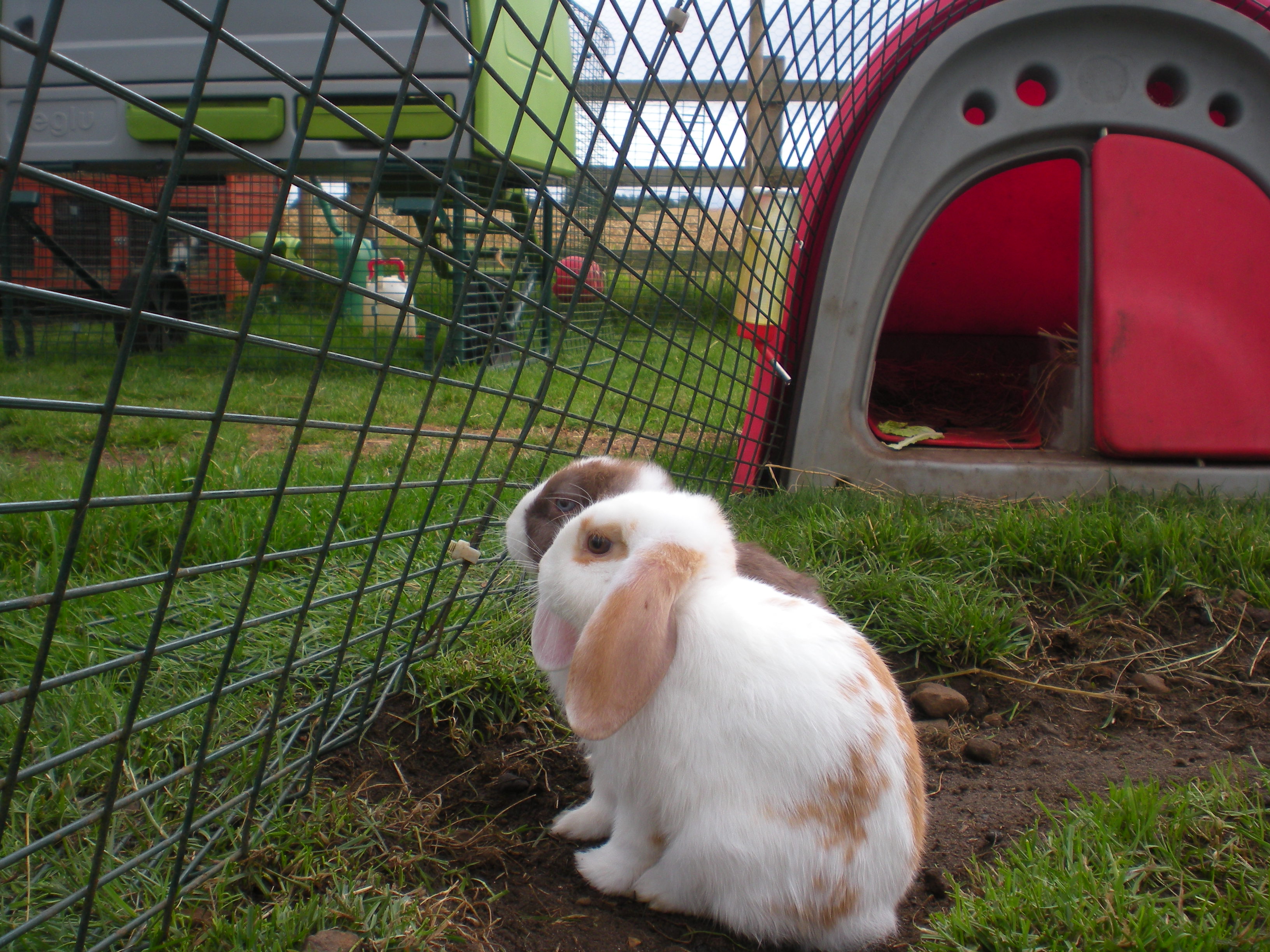 Gallery | Club | Omlet