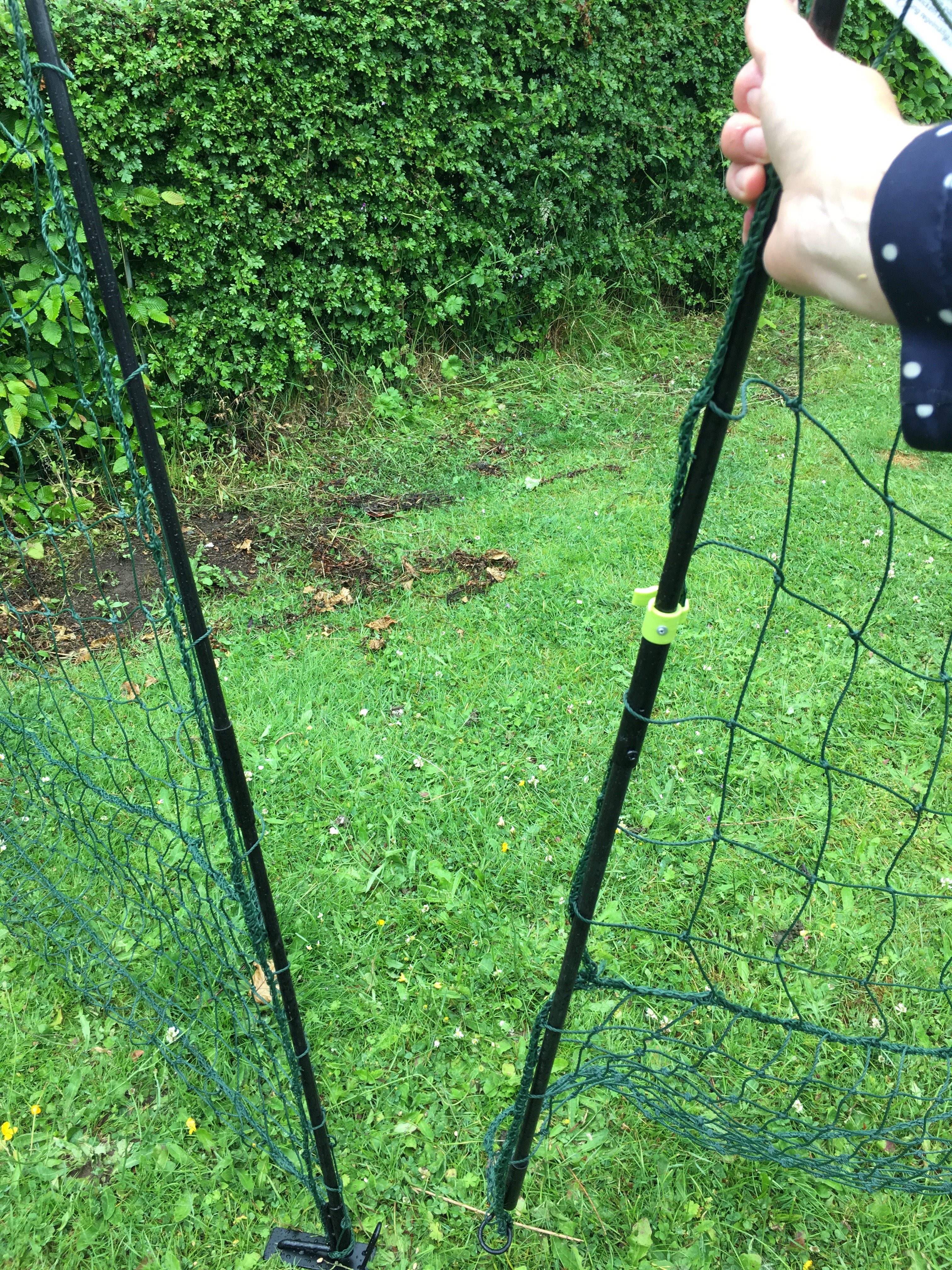 Omlet Chicken Fencing | Chicken Keeping | Omlet