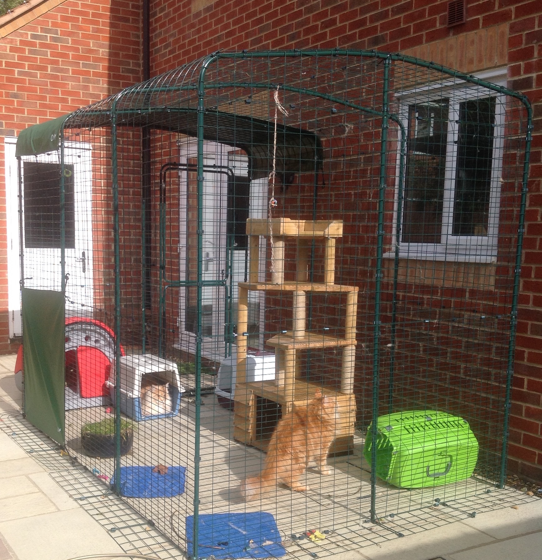 Outdoor Cat Run | Large Spacious Outdoor Cat Enclosure