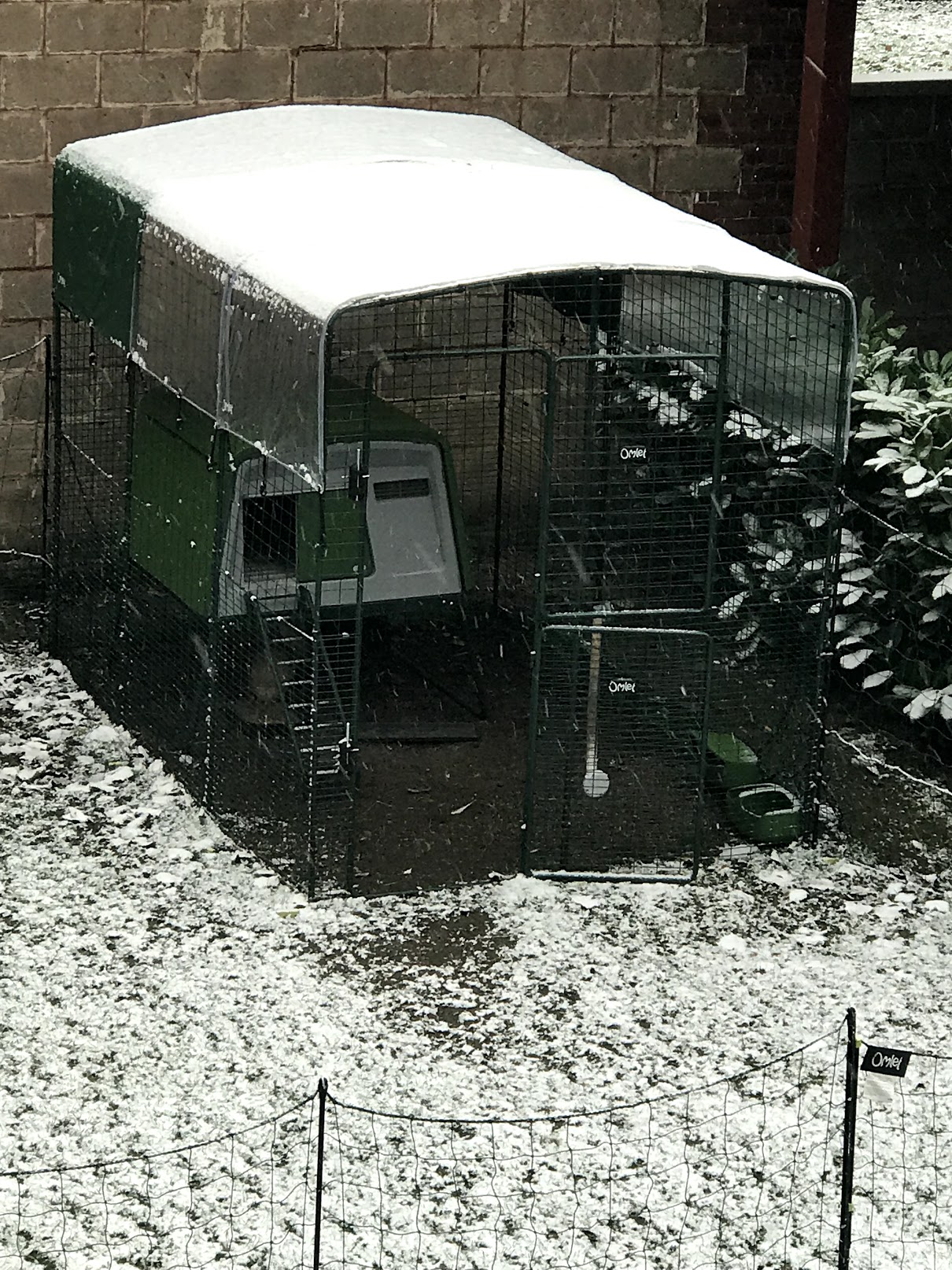 Walk in Chicken Run | Large Outdoor Chicken Enclosure