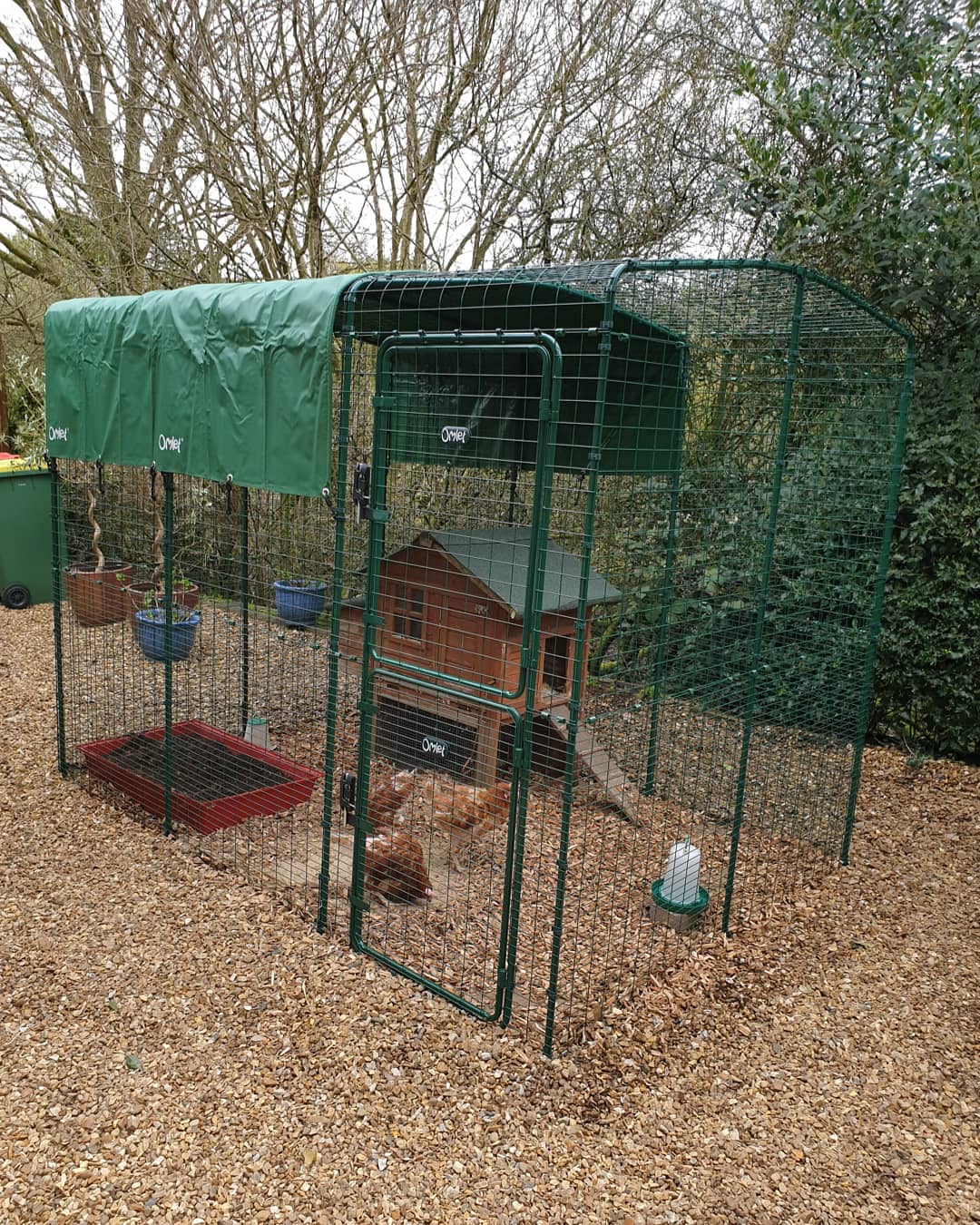 Walk in Chicken Run | Large Outdoor Chicken Enclosure