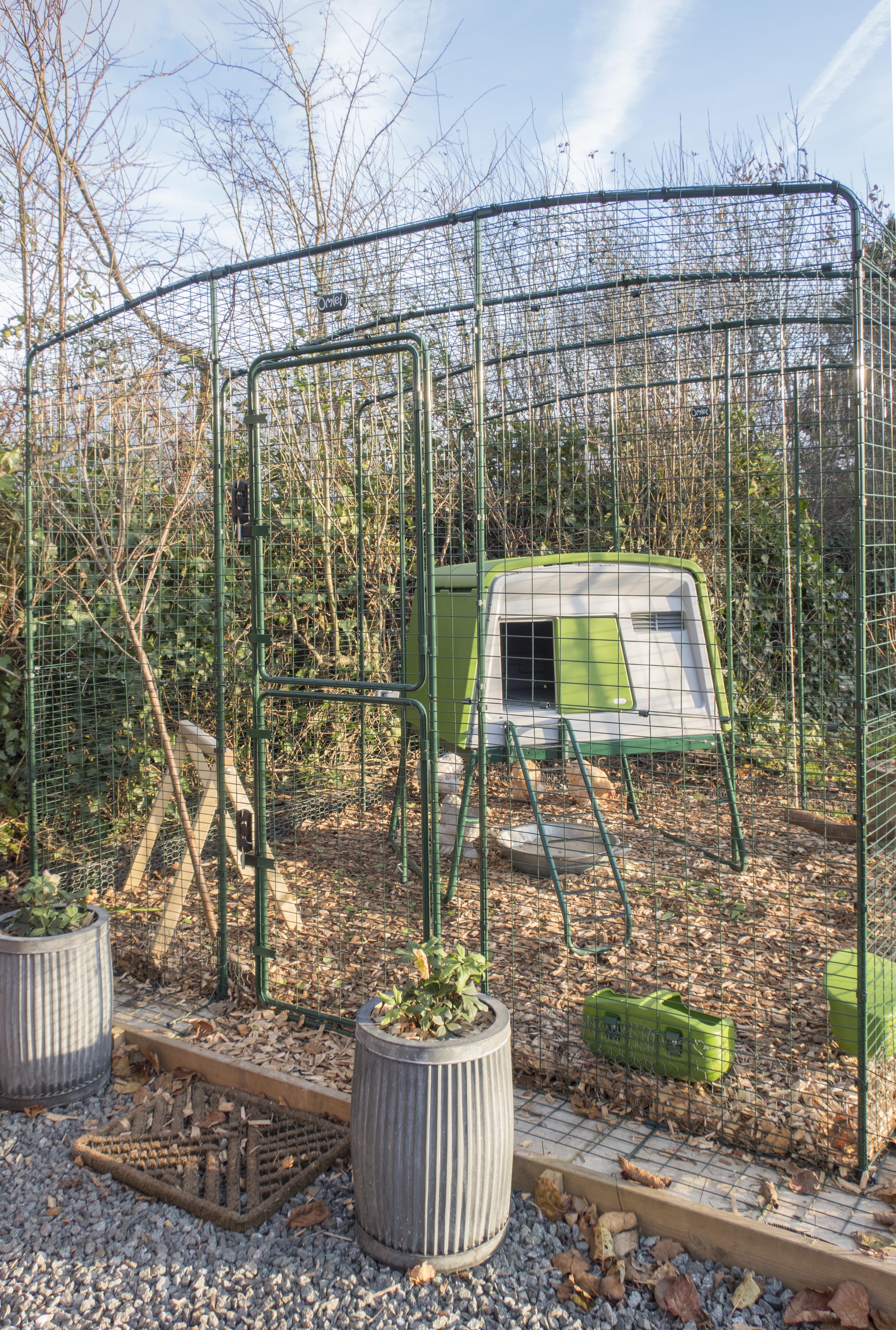 Walk in Chicken Run | Large Outdoor Chicken Enclosure