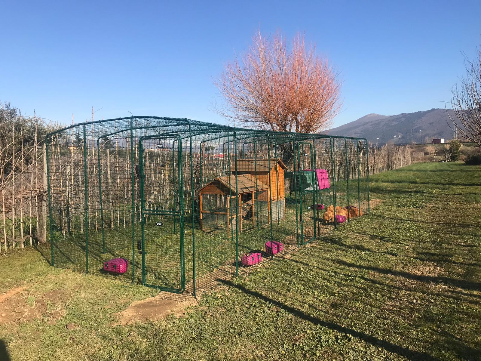 Walk in Chicken Run | Large Outdoor Chicken Enclosure