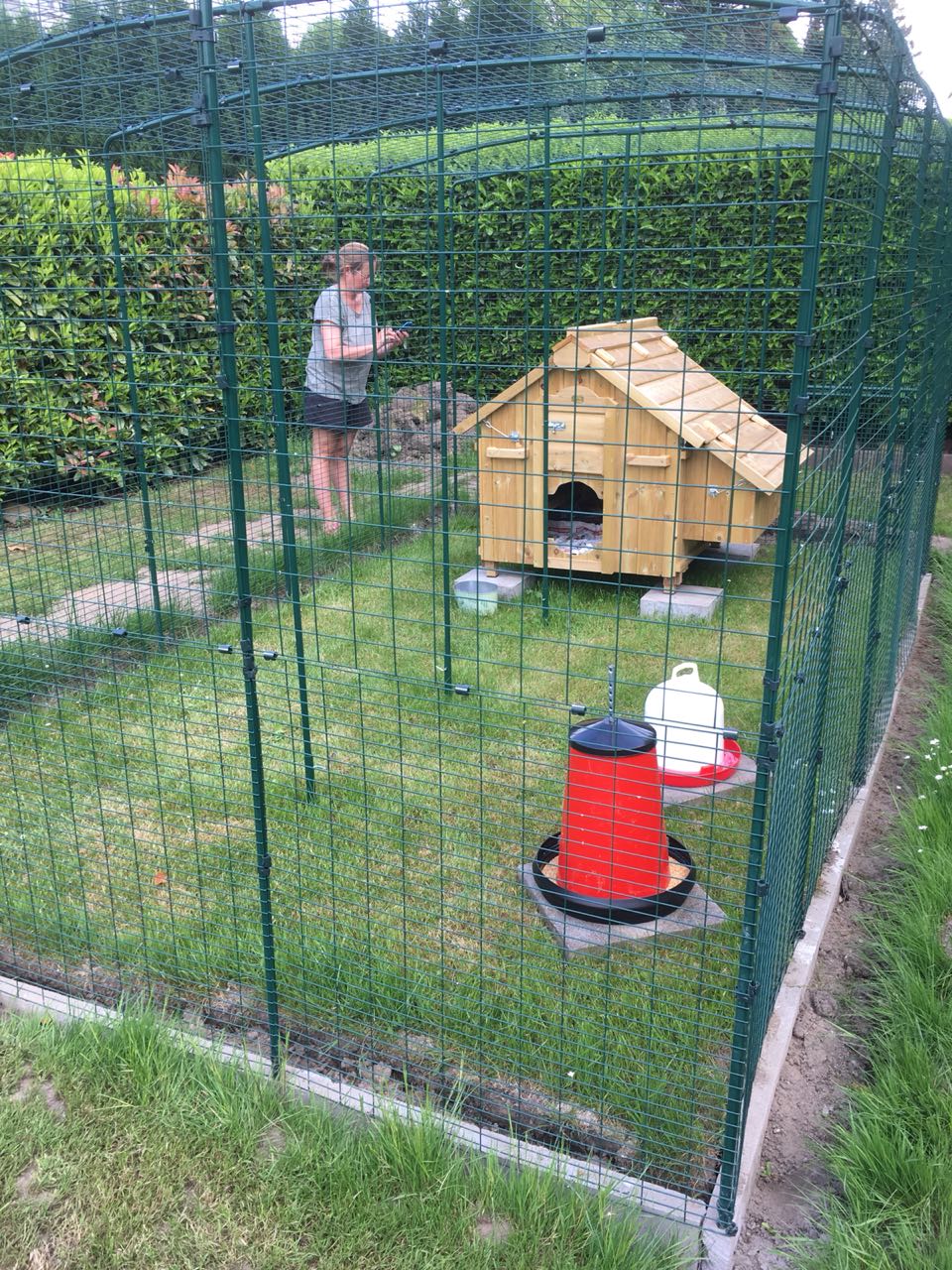 Walk in Chicken Run | Large Outdoor Chicken Enclosure