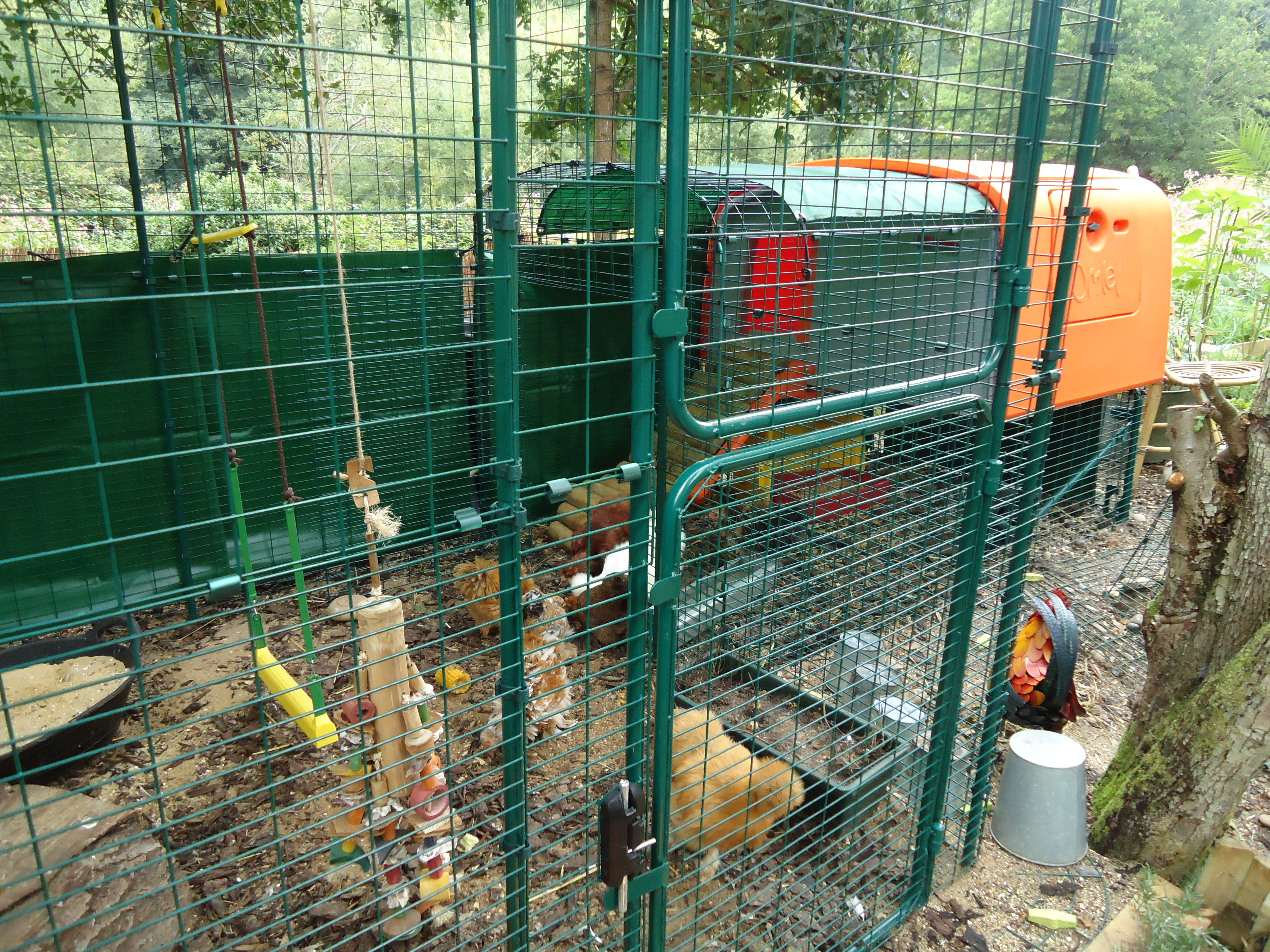 Walk in Chicken Run | Large Outdoor Chicken Enclosure