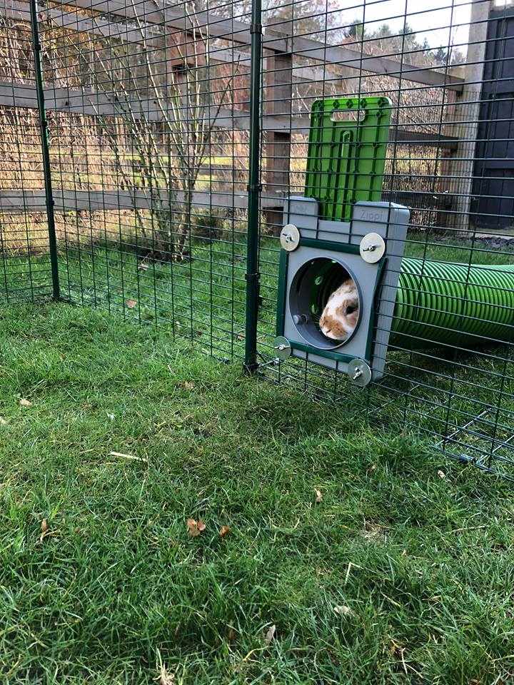 Zippi Rabbit Tunnel System | Omlet